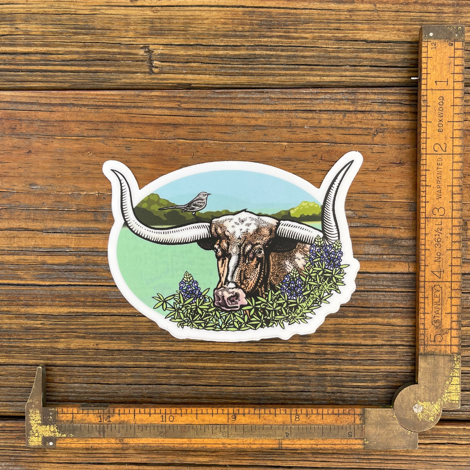 Texas Longhorn Steer Sticker - Etsy