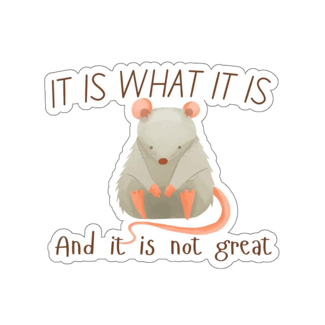 Rat Sticker, Meme Sticker, It is What It is and It is Not Great, Funny ...