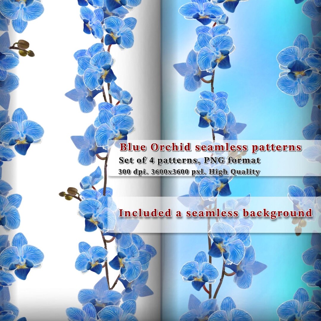 Orchids, Blue, Floral Seamless Pattern. 4 Patterns, PNG Format ...
