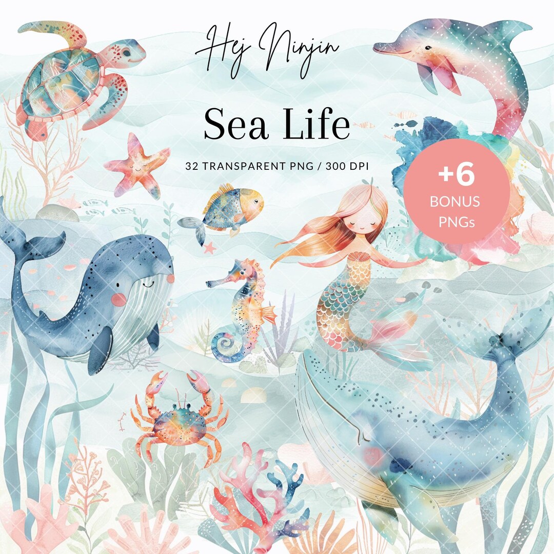 32 Watercolor Sea Life Clipart, Undersea Animals & Mermaids, Sea Turtle ...