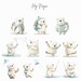 40 Cute Polar Bear Clipart, Polar Bears on Adventures, Summer ...