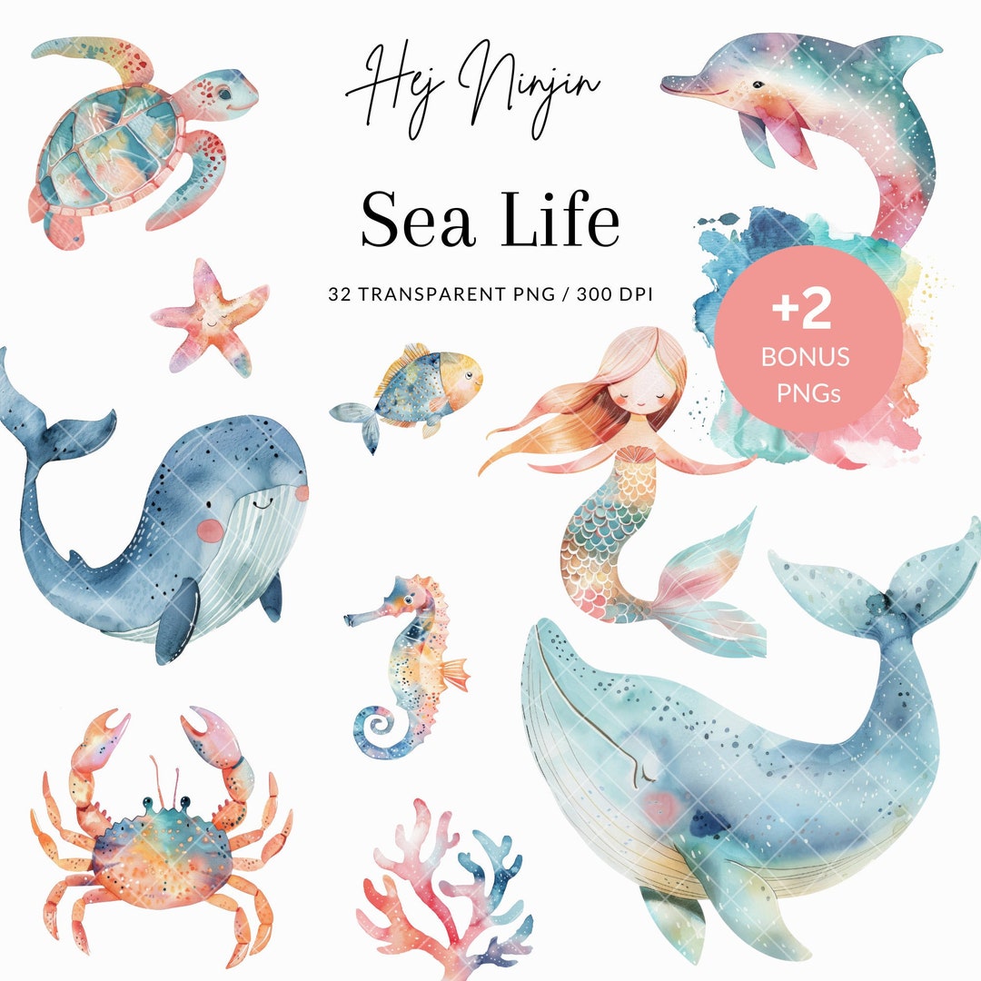 32 Watercolor Sea Life Clipart, Undersea Animals & Mermaids, Whale ...