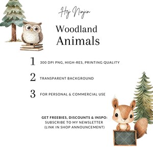 58 Cute Woodland Animal at School Clipart, Back to School, First Day of ...