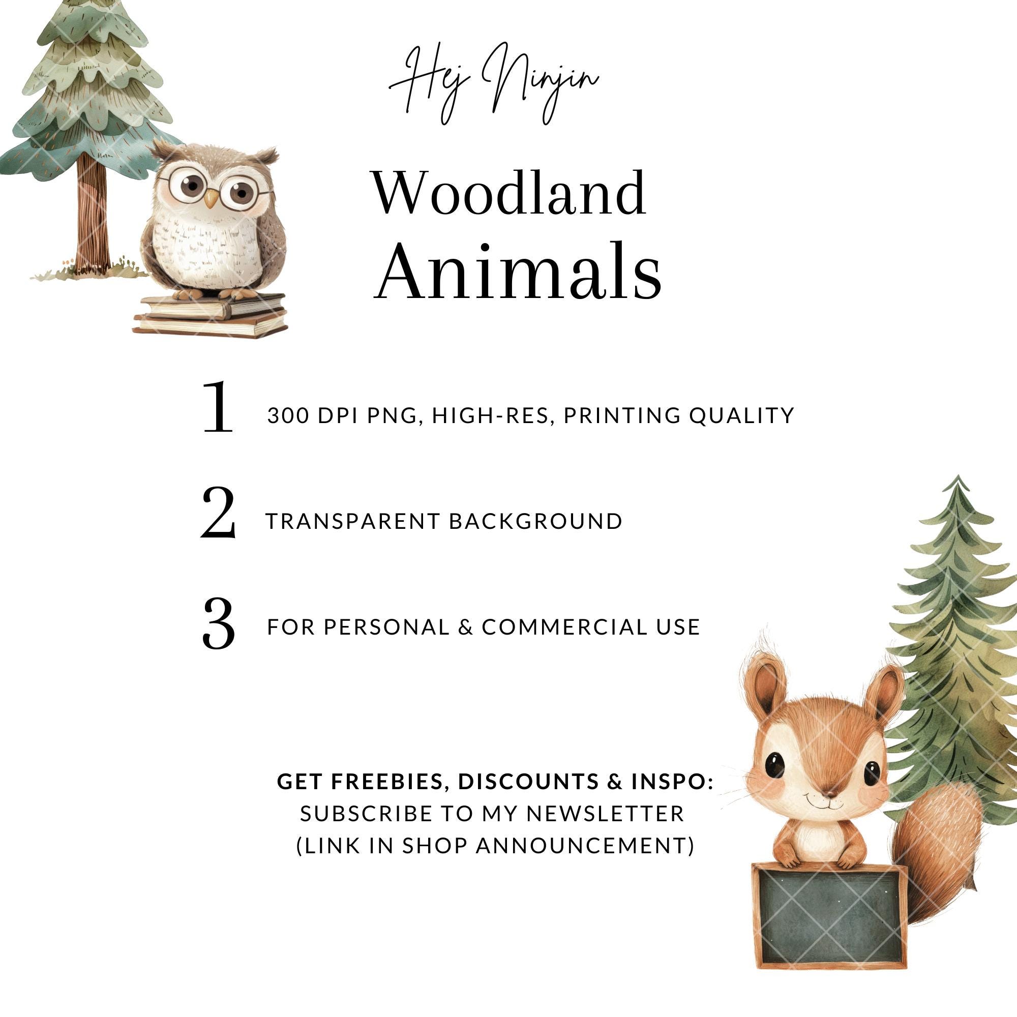 58 Cute Woodland Animal at School Clipart, Back to School, First Day of ...