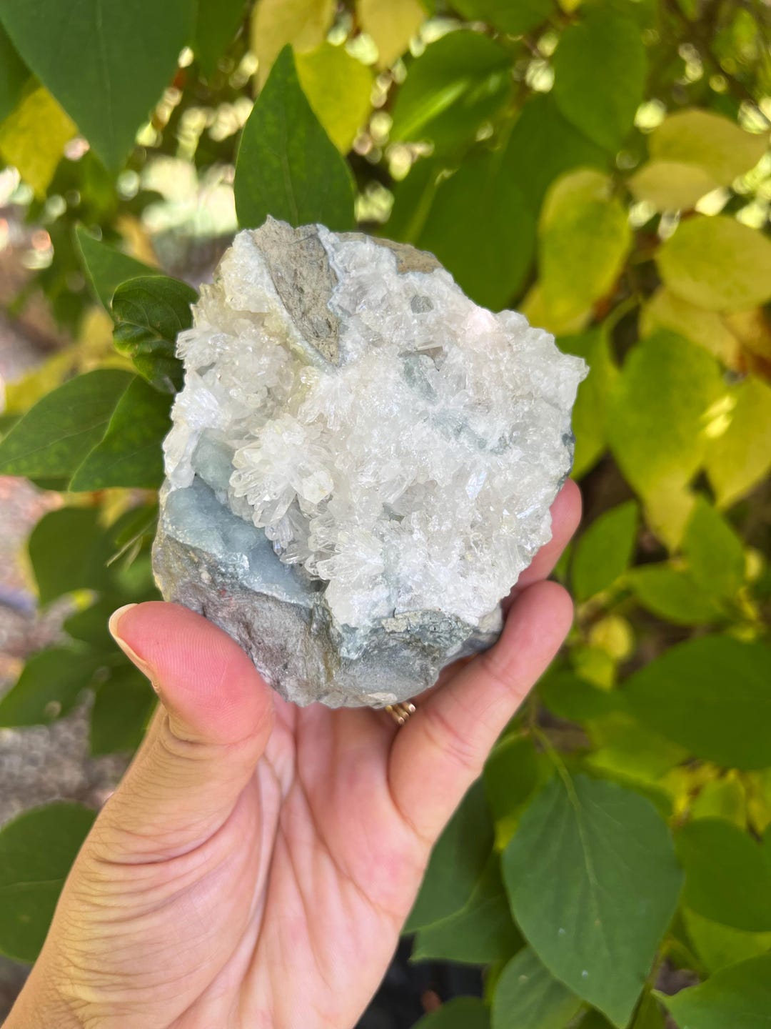Stunning Zeolite With Blue Calcedony - Etsy