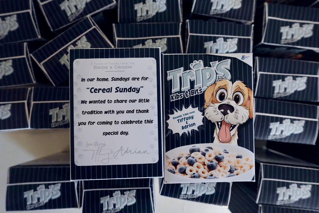 Sample Mini Cereal Box - Etsy