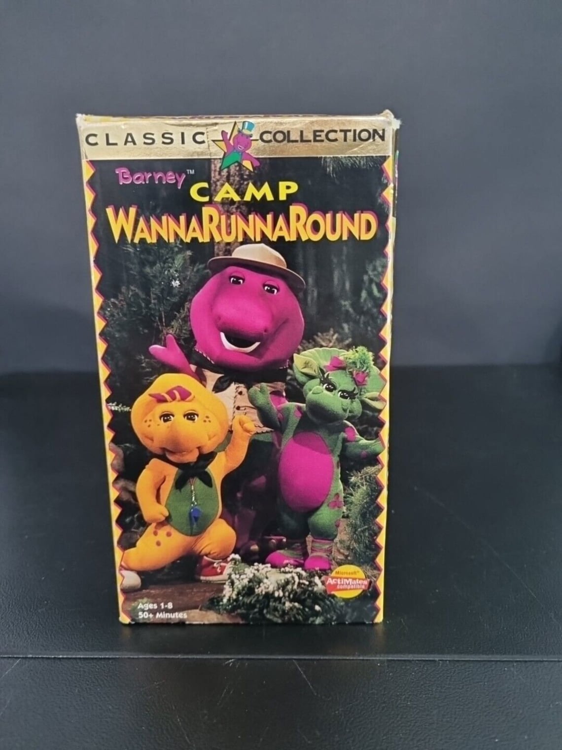 Barney Camp Wannarunnaround VHS - Etsy