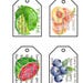 Fruits of the Spirit Encouragement Tags | Instant Download | Variety ...