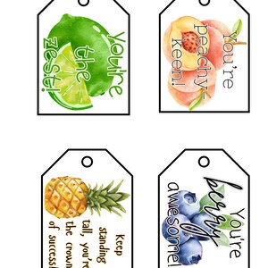 Fruit Candy Tags | Fruit Puns for Encouragement | Instant Download ...