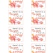 Alani Nu Teacher Gift Tags | Back to School Printables | Instant ...