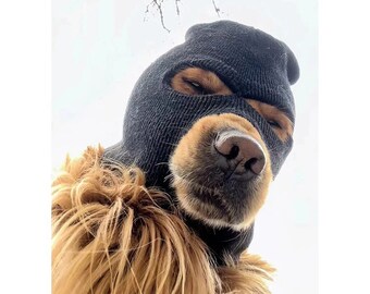 Large Dog Home - Etsy