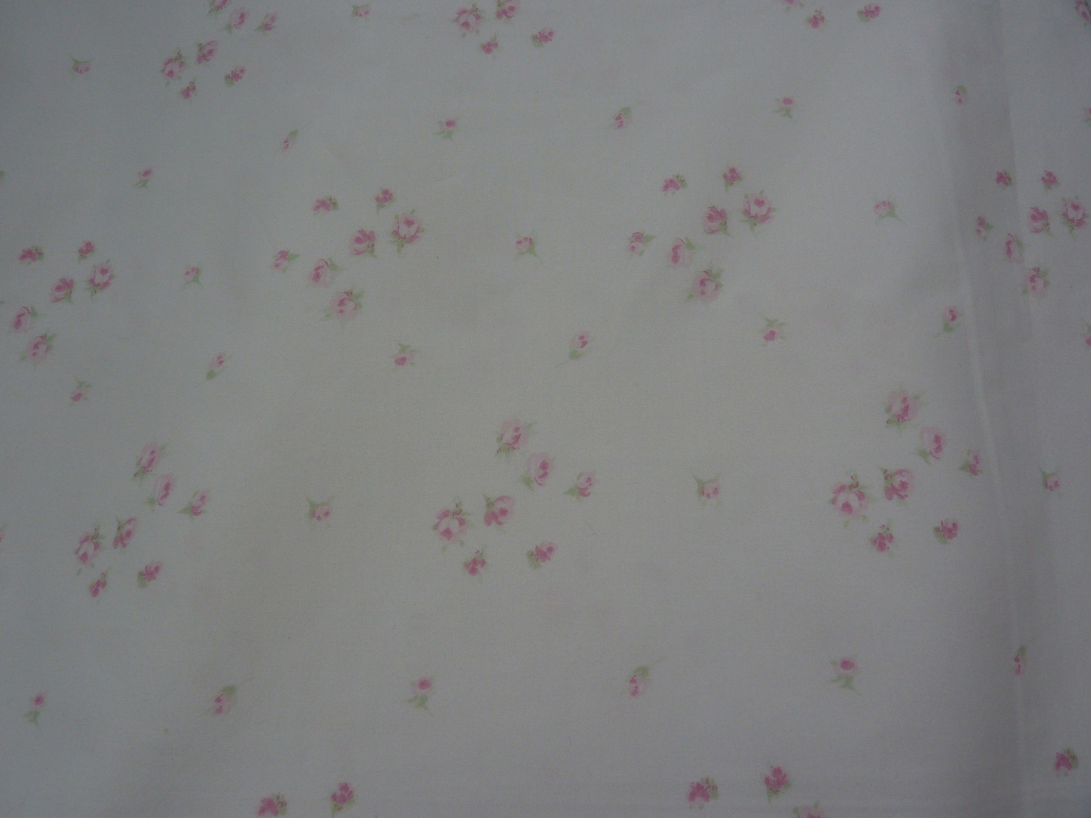 108" Wide Rachel Ashwell Shabby Chic Sprinkles Faded Pink/ivory Cotton ...