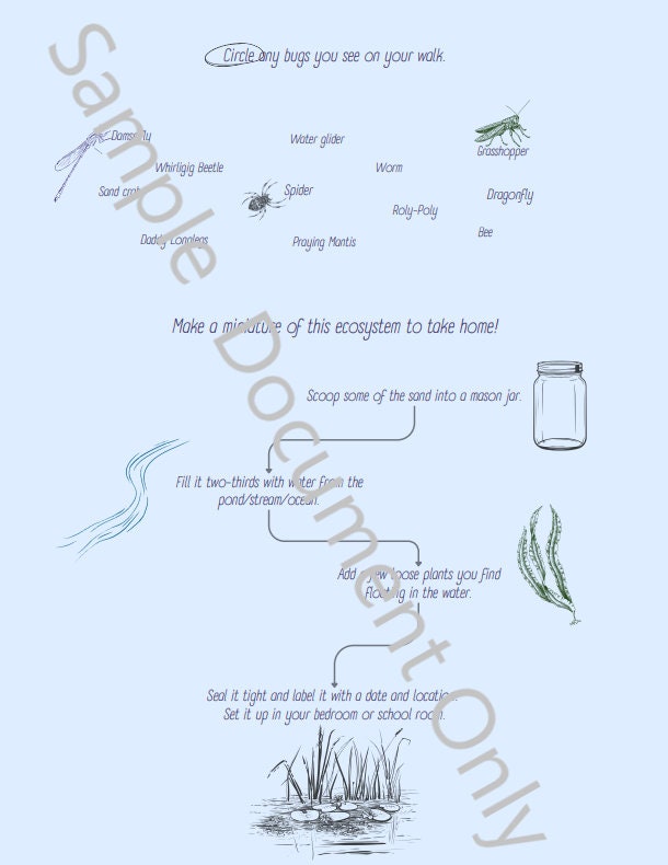 Nature Walk Diary Printable - Theme #2 Waterways - Etsy