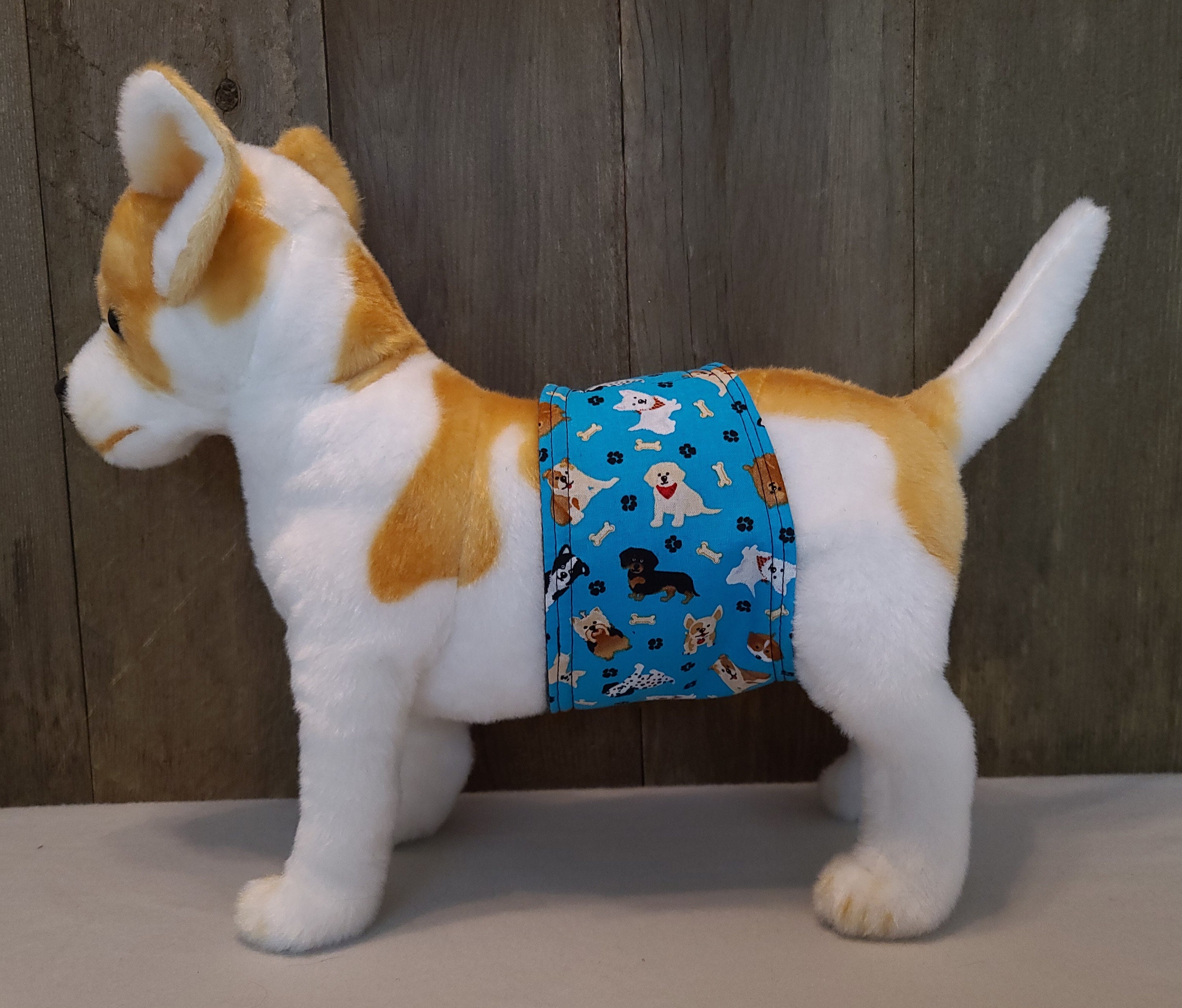 Should I Use A Belly Band On My Dog