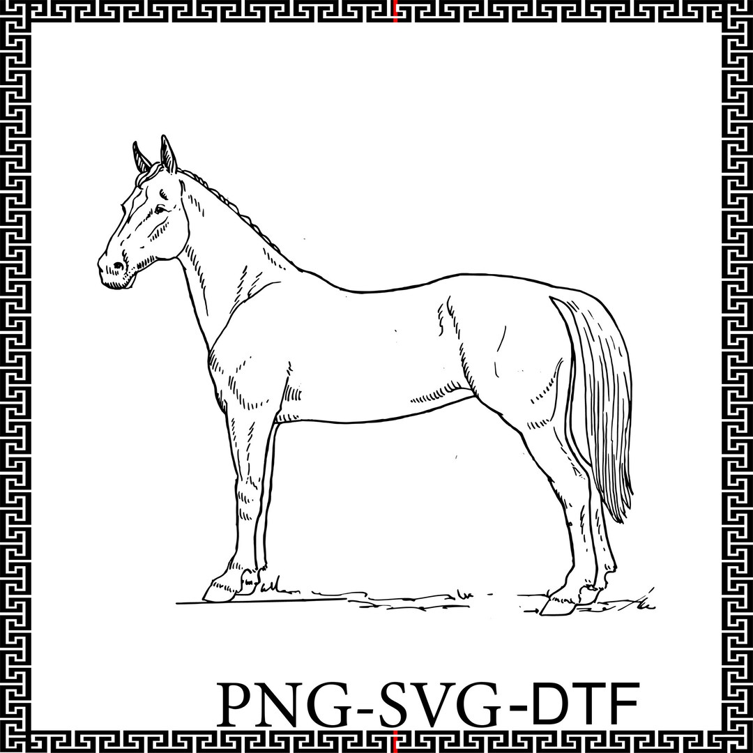 Horse Outline Png-svg, Horse Png-svg, Horse Clipart, Horse Files for ...