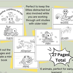 Preschool Printable Reptile Bundle Trace and Color Worksheet Science ...