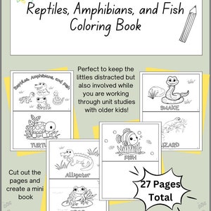 Reptile Preschool Bundle Amphibian Tracing and Coloring Printable ...