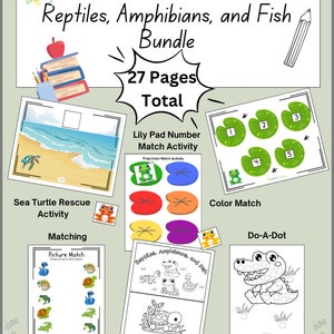 Reptile Preschool Bundle Amphibian Tracing and Coloring Printable ...