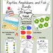 Reptile Preschool Bundle Amphibian Tracing and Coloring Printable ...