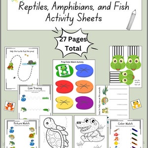 Reptile Preschool Bundle Amphibian Tracing and Coloring Printable ...