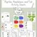 Reptile Preschool Bundle Amphibian Tracing and Coloring Printable ...