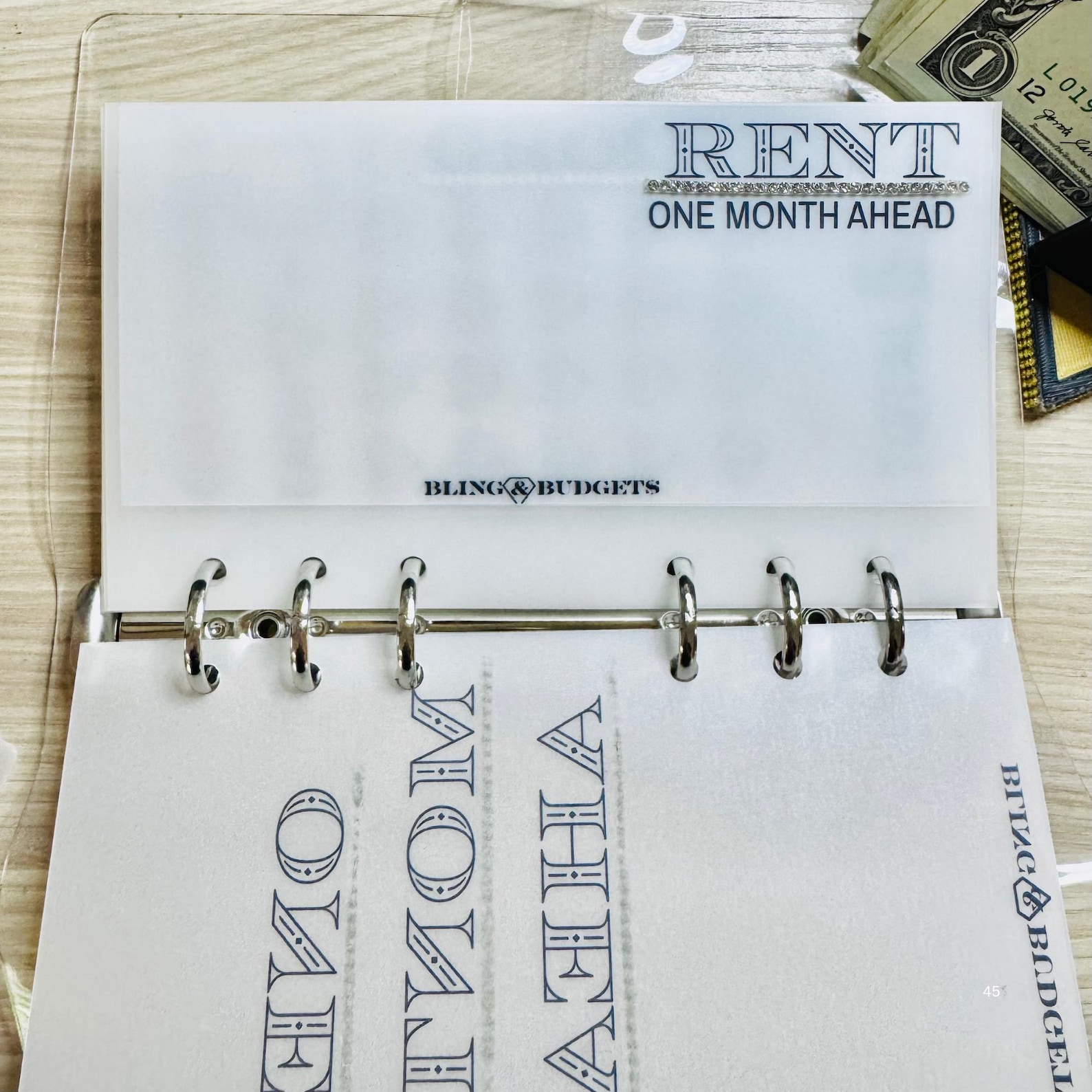 Month Ahead Savings Challenge Binder Matte Vellum Cash Envelope Kit ...