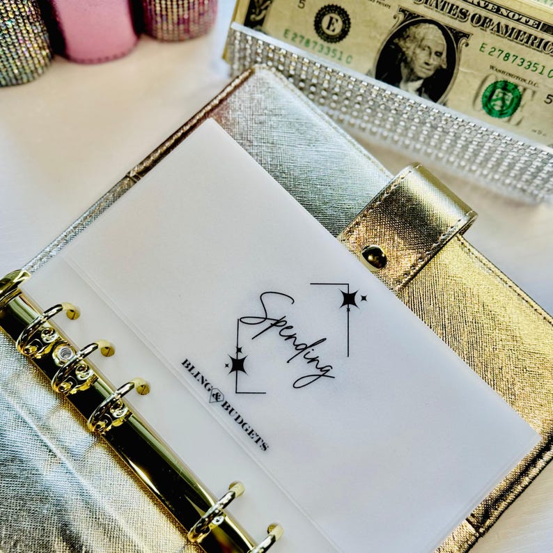 Matte Vellum Laminated Cash Envelope Starter Bundle. Luxe Aesthetic ...