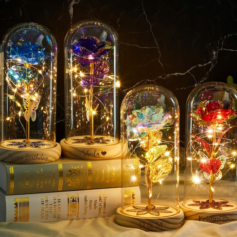 Rose in Glass Dome - Etsy