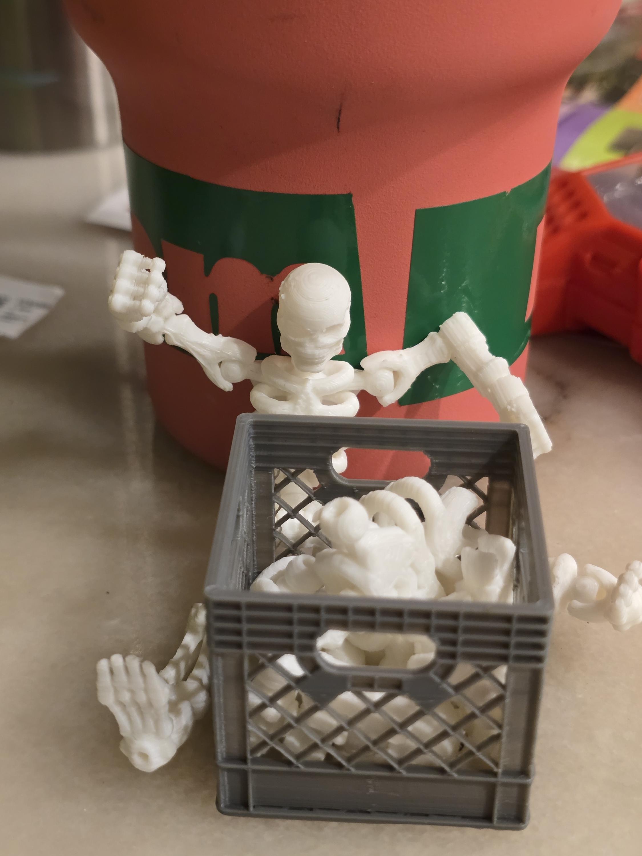 Crate Full of Bones, Posable Skeleton Action Figure - Etsy