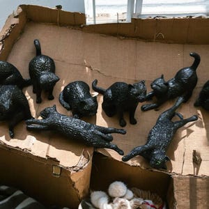 Mini Black Cats in Their Own Special Box - Set of 9 + Scrolled Original ...