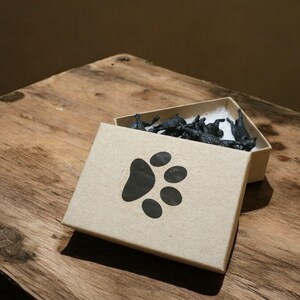 Mini Black Cats in Their Own Special Box - Set of 9 + Scrolled Original ...