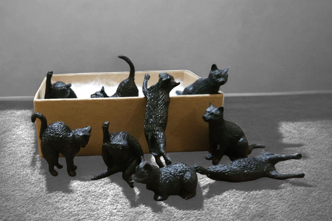 Mini Black Cats in Their Own Special Box - Set of 9 - One for Each Life ...