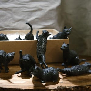 Mini Black Cats in Their Own Special Box - Set of 9 + Scrolled Original ...
