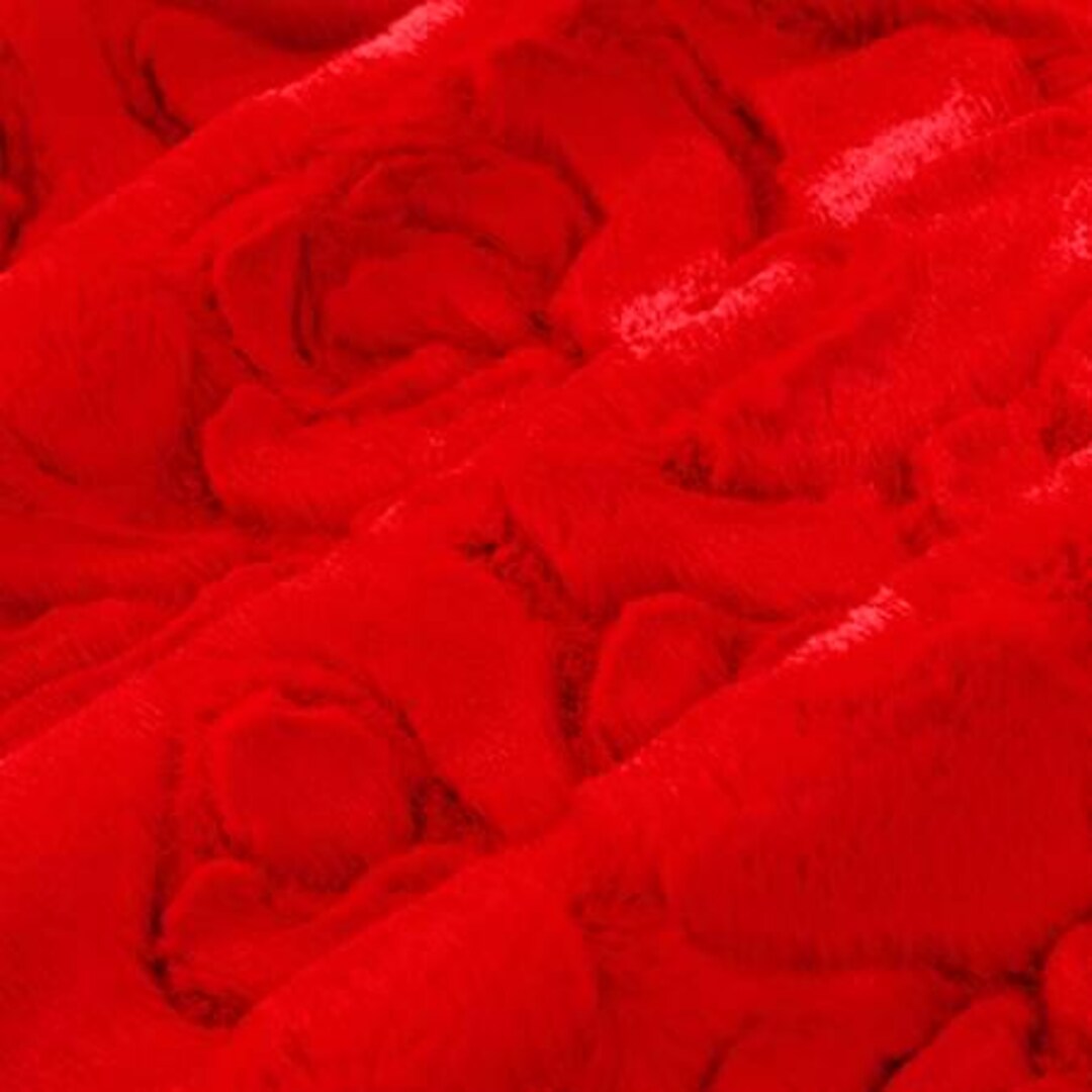 Cuddle Fabric By, Shannon Fabrics, Minky Fabric, Luxe Fabric by the ...
