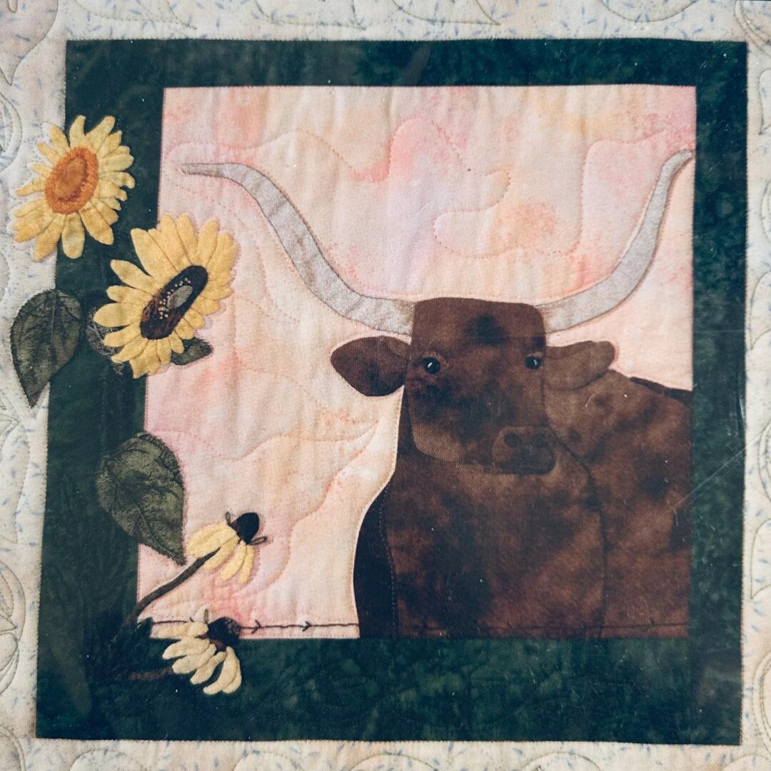 Texas Quilt Block of the Month Patterns, Texas Proud, Floral Quilt Kits ...