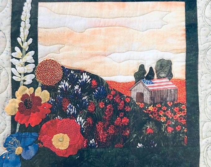 Texas Quilt Block of the Month Patterns, Texas Proud, Floral Quilt Kits ...