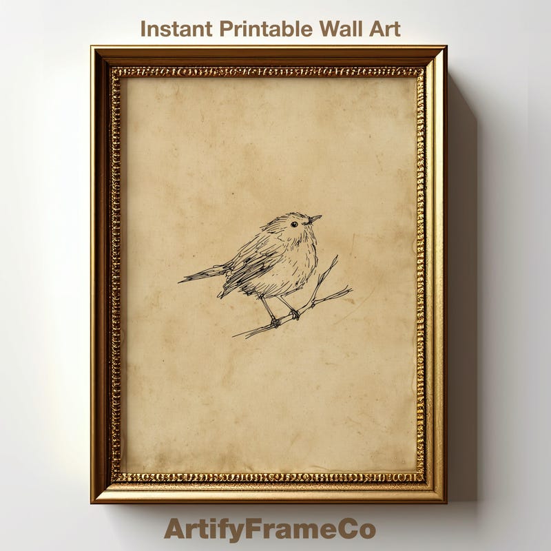 Robin Sketch Vintage - Etsy
