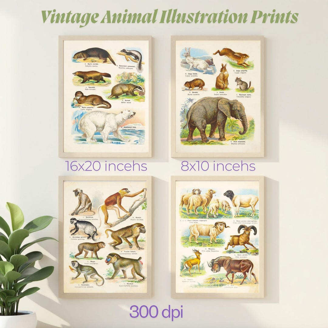 Vintage Animal Illustration Prints – Antique Wildlife Wall Art – Farm ...
