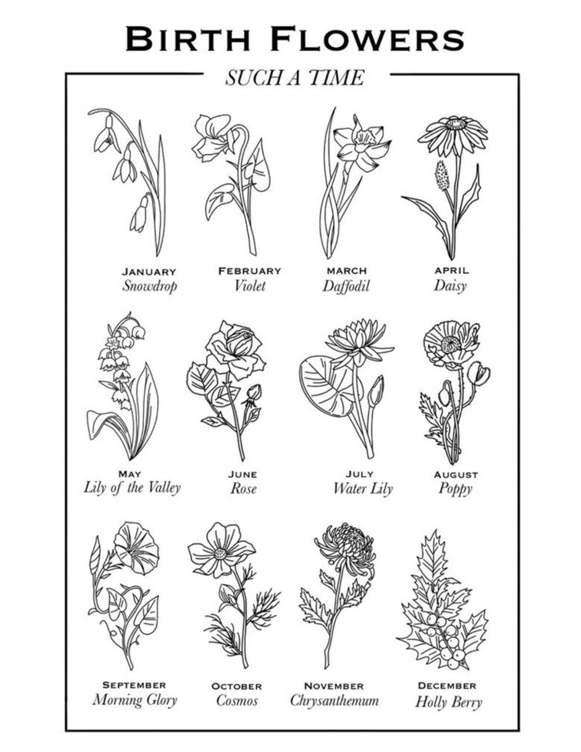 Birth Flower Art Print - Etsy