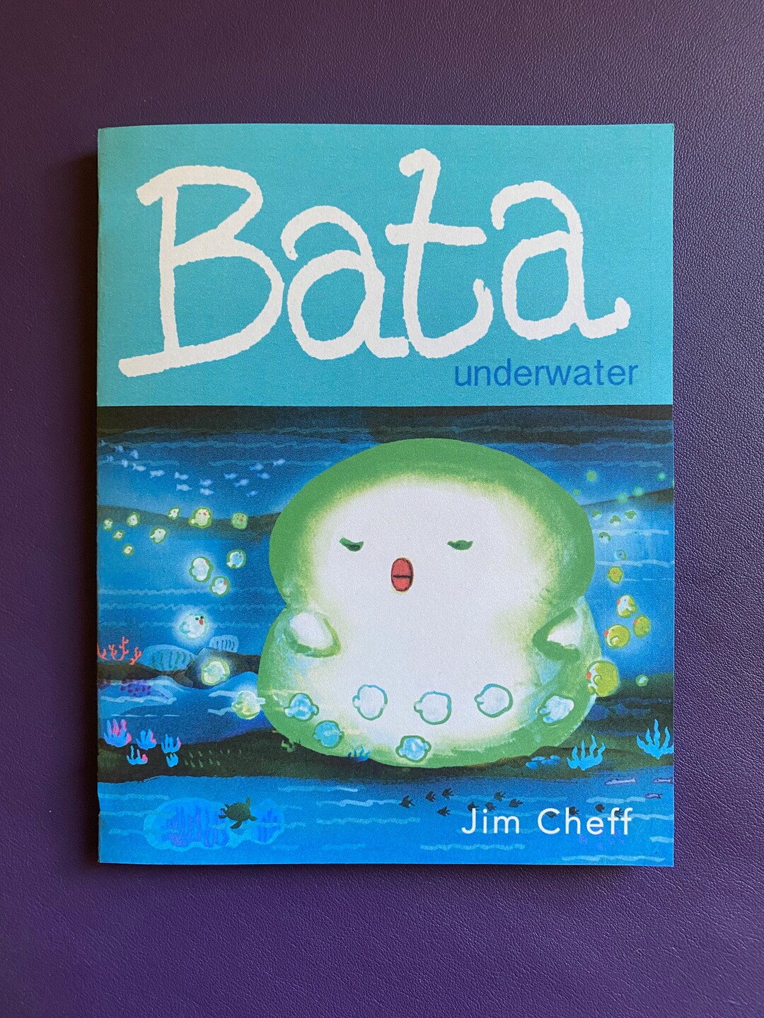 BATA UNDERWATER Children's Picture Book, Handmade, Signed by Author - Etsy
