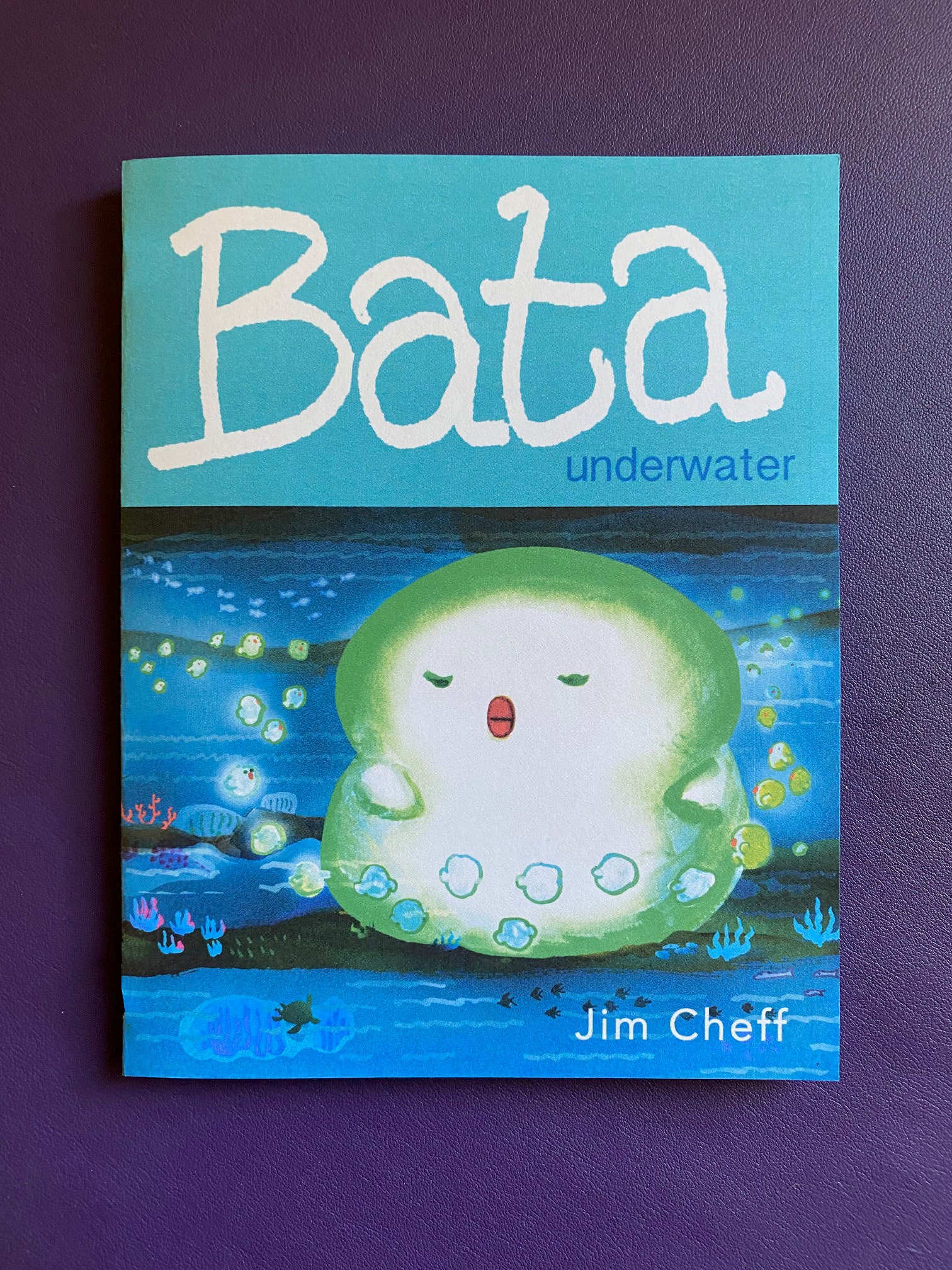 BATA UNDERWATER Children's Picture Book, Handmade, Signed by Author - Etsy