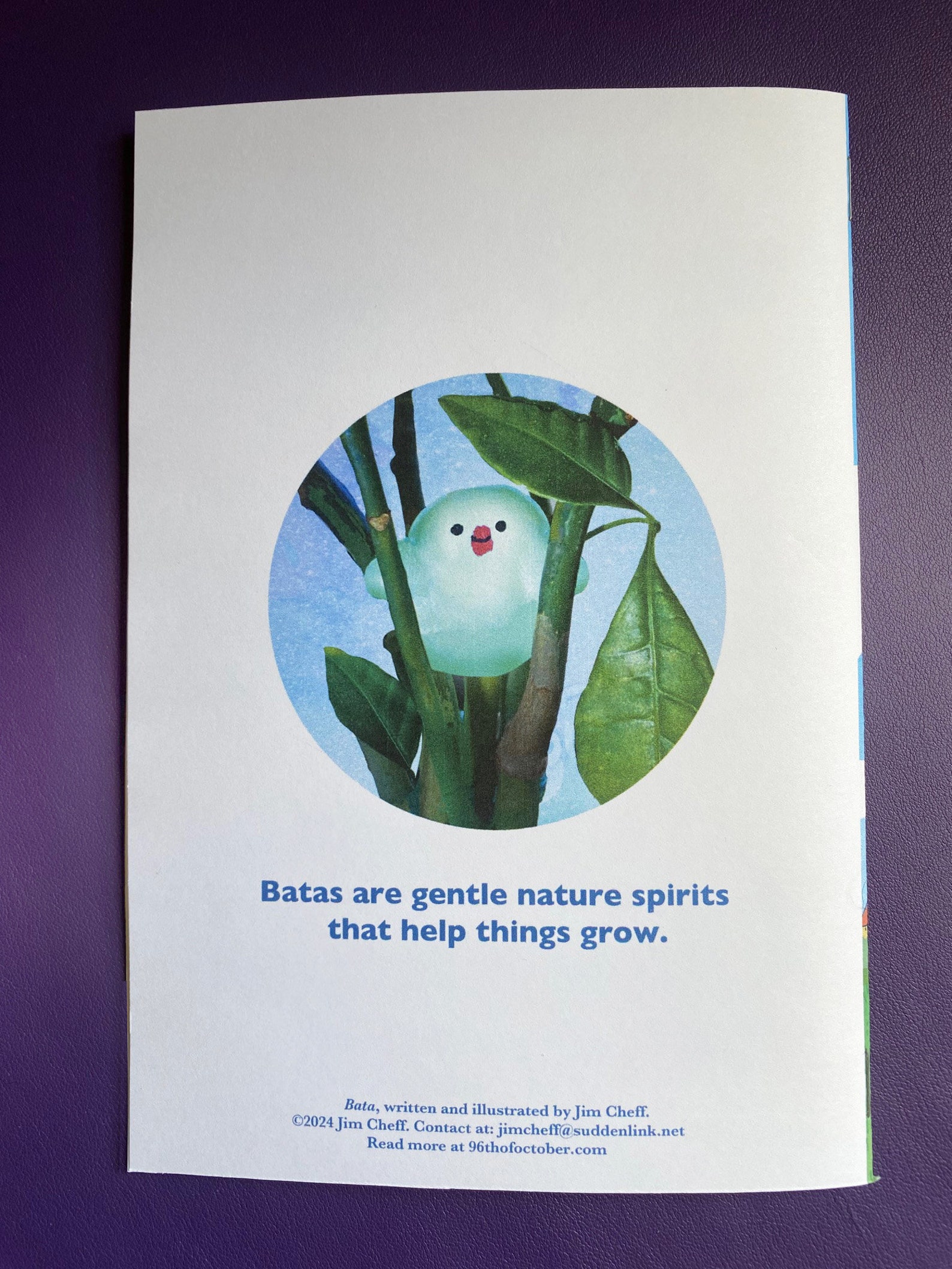 BATA Whimsical Children's Picture Book, Handmade, Signed by Author - Etsy