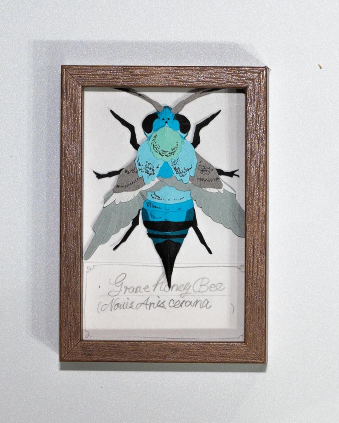 Grane Honey Bee - Etsy