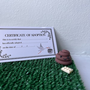 Rock Pet Poop Edition, Desk Pet Comes With Adoption Certificate and ...