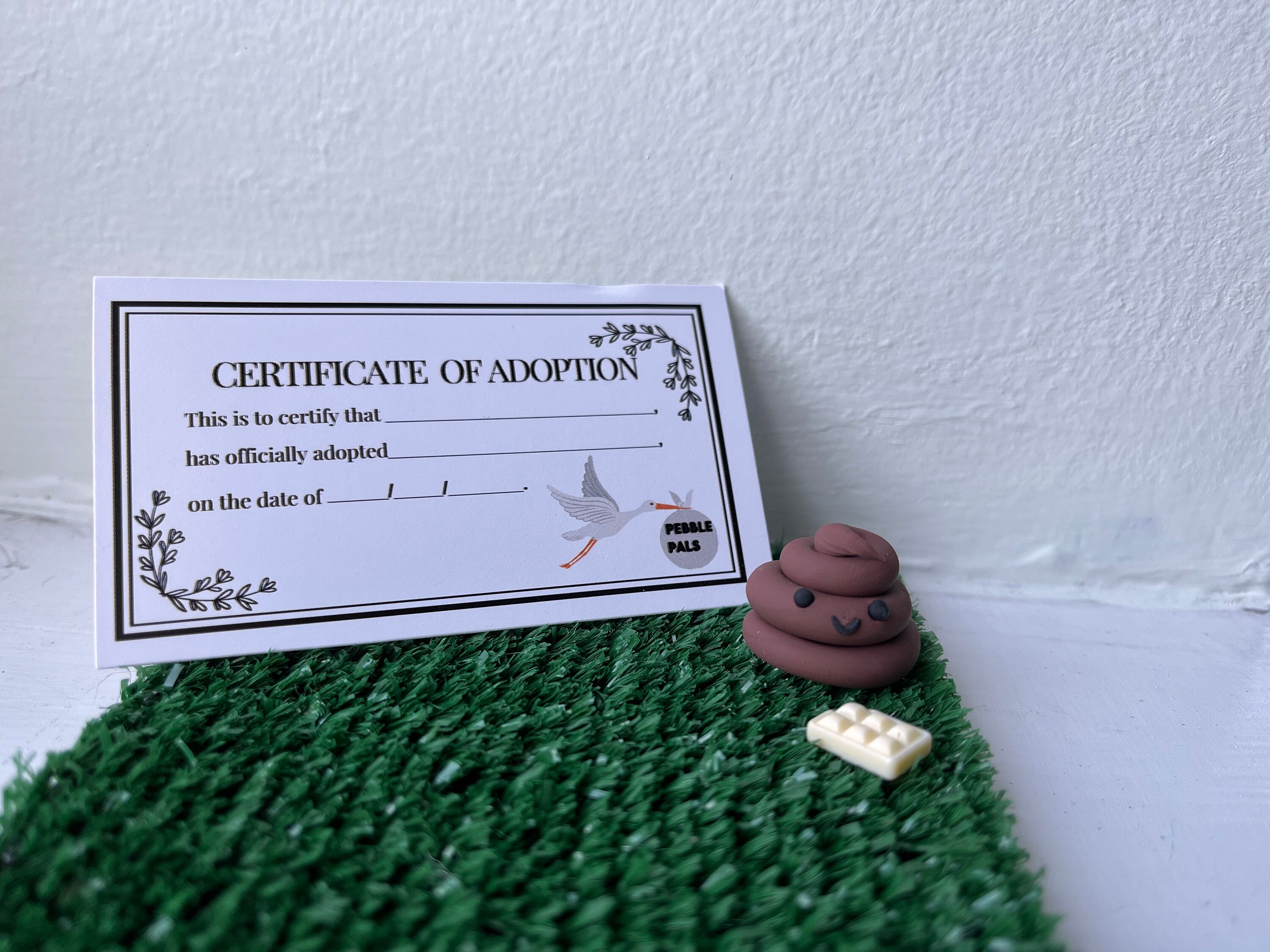 Rock Pet Poop Edition, Desk Pet Comes With Adoption Certificate and ...