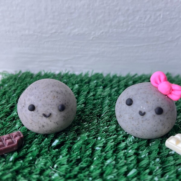 Pet Rock - Etsy