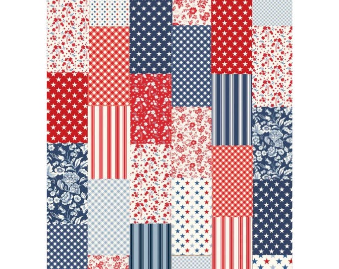 Freedom Garden Quilt Kit | Beginner Friendly - Comes Together Quick ...