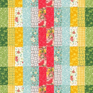 Sweet Summer Swatch Quilt Kit Using Fruit Loop Fabric by Basicgrey by ...