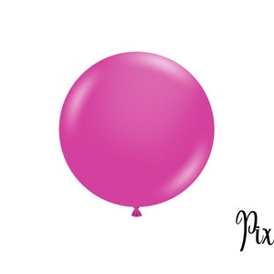 TUFTEX Pixie TUFTEX Designer Latex Balloons, Biodegradable Balloons ...