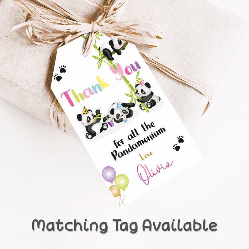 Editable Panda Party Birthday Invitation Wildlife Party Panda Invite ...